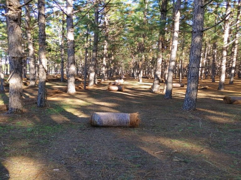 About Us - The Straw Farm